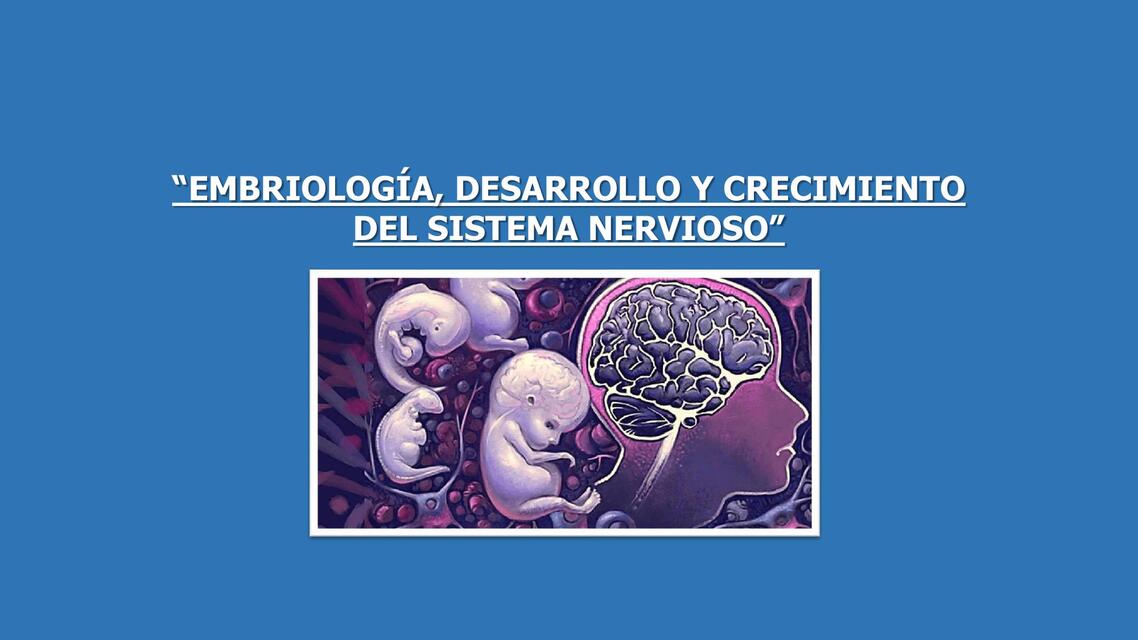 EMBRIOLOGIA DEL SNC pptx | MARIA MONTSERRAT | uDocz