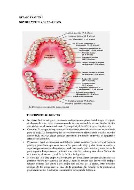REPASO EXAMEN 2 | Romario | uDocz