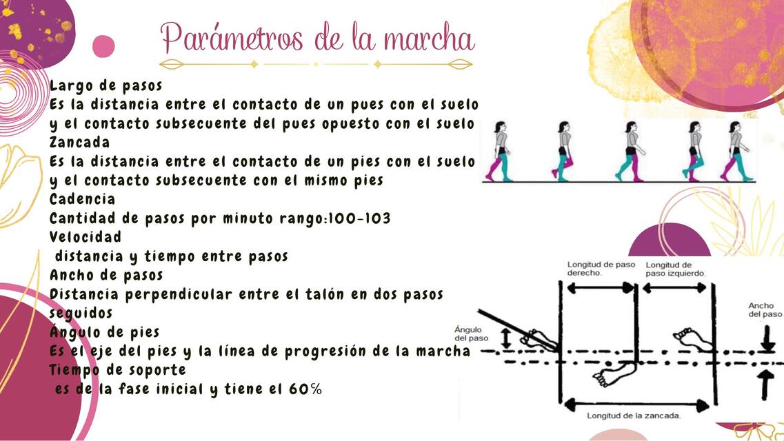 Parámetros de marcha normal | Geraldinne 🤍🩻 | uDocz