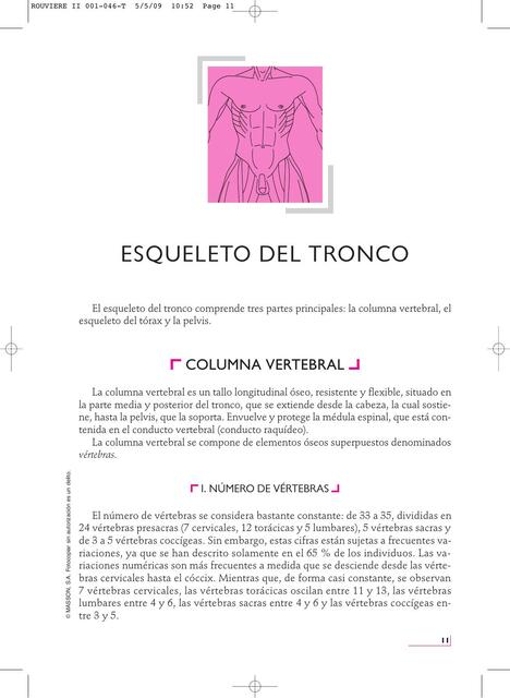 Anatomia ROUVIERE Tomo 2 12 32 | MARILUZ | uDocz