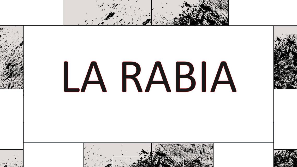 RABIA | Lorennys Santos | uDocz
