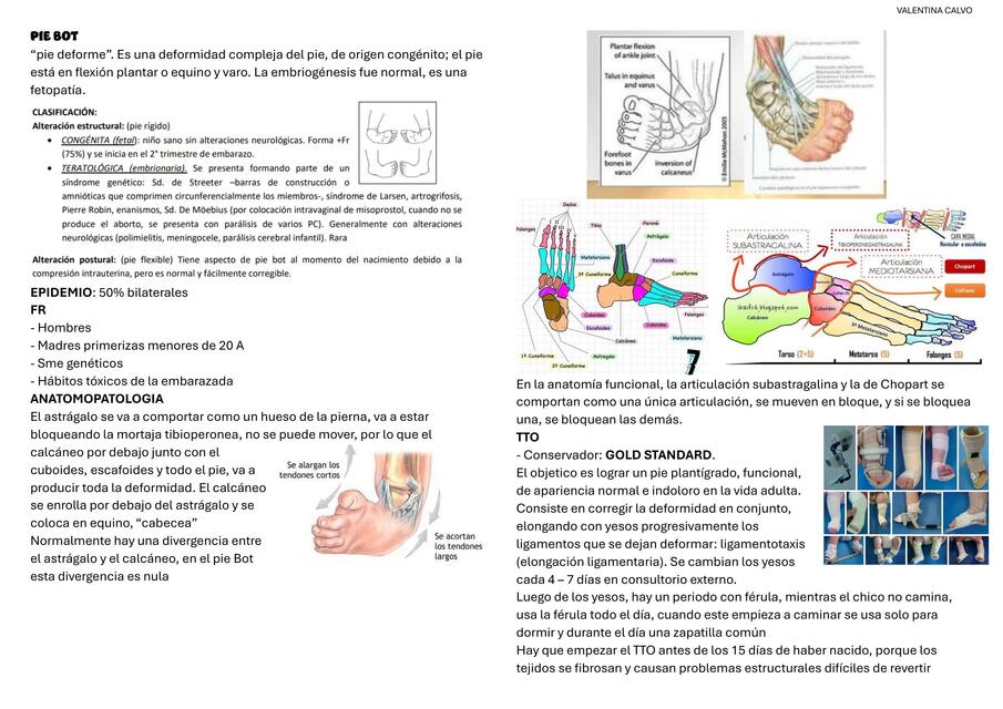 PIE BOT y PIE CAVO | Remedium | uDocz