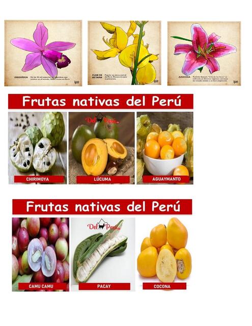 flores y frutas | brayan | uDocz