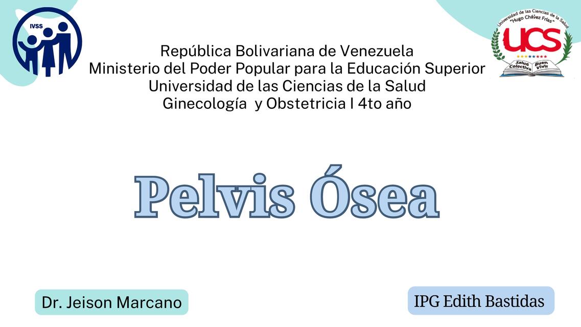 Pelvis Osea 2 0 Isaias Alexander Udocz