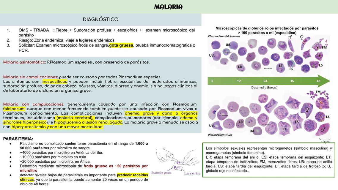 MALARIA ECOE UCSUR | Medical student Kath ESGA🩺☀️ | uDocz MALARIA ECOE UCSUR | Medical student Kath ESGA🩺☀️ | uDocz