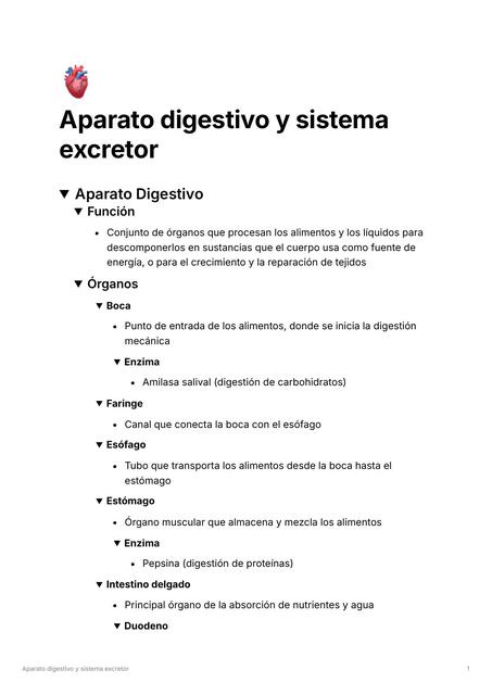 Aparato digestivo y sistema excretor generalidades | Marco | uDocz