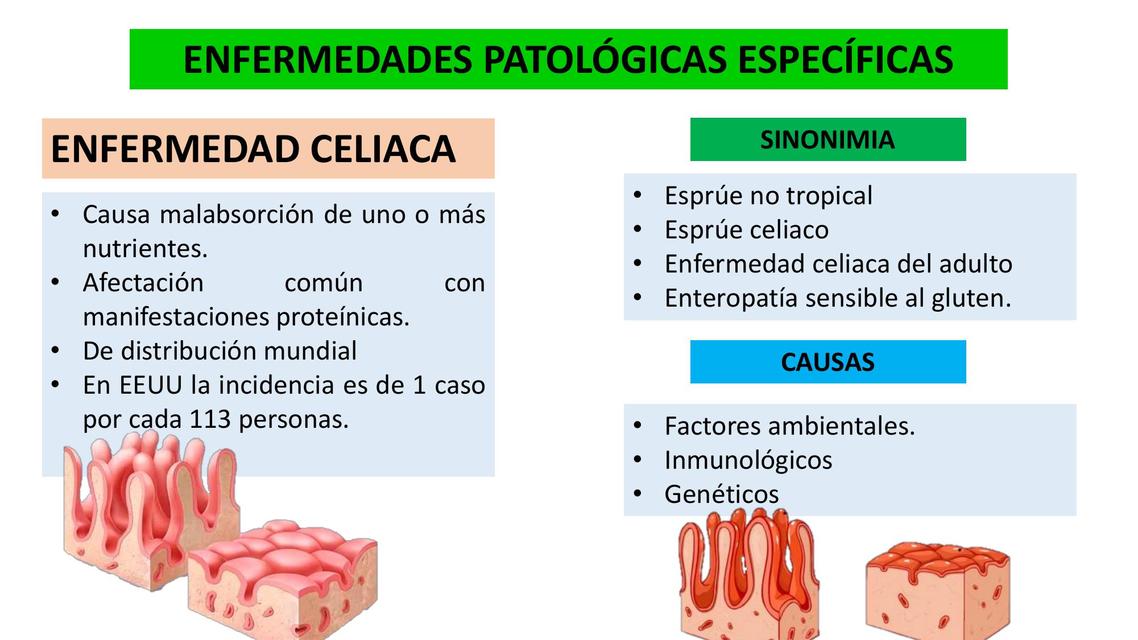 SÍNDROME DE MALABSORCIÓN