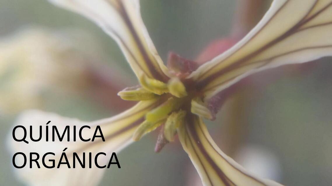 Química Orgánica Saul Udocz