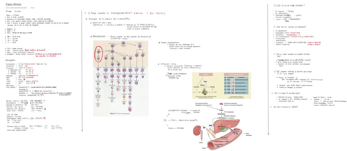 Caso clínico/ Hematología | Medical student Kath ESGA🩺☀️ | uDocz