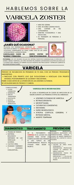 Infografía VARICELA | IRIS | uDocz