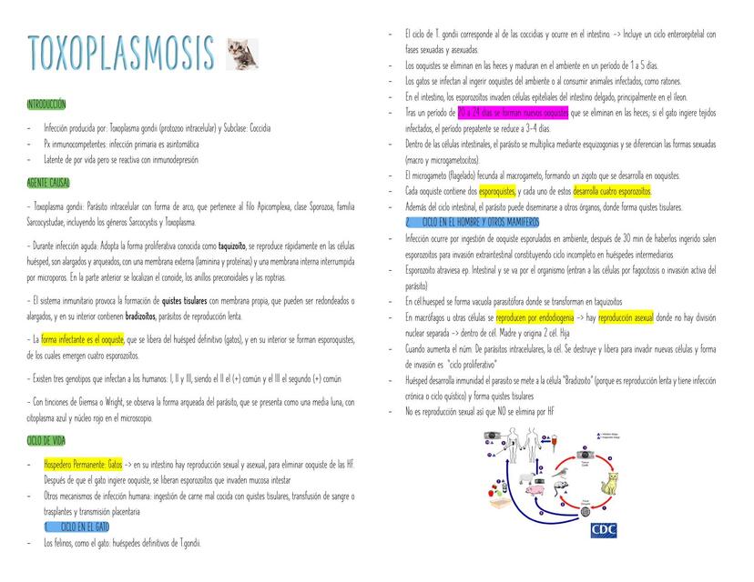 TOXOPLASMOSIS RESUMEN BOTERO | Jessica Samantha Prieto Cabrera | uDocz