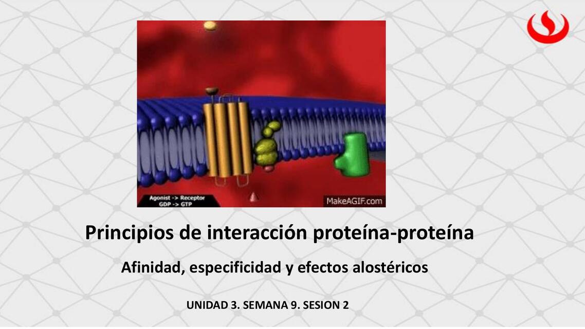 BL18 9 21 | Jose | uDocz