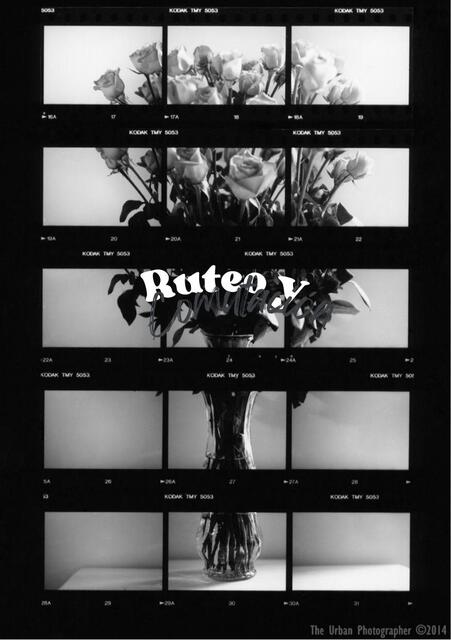 RyC 1 1 | X_muse | uDocz