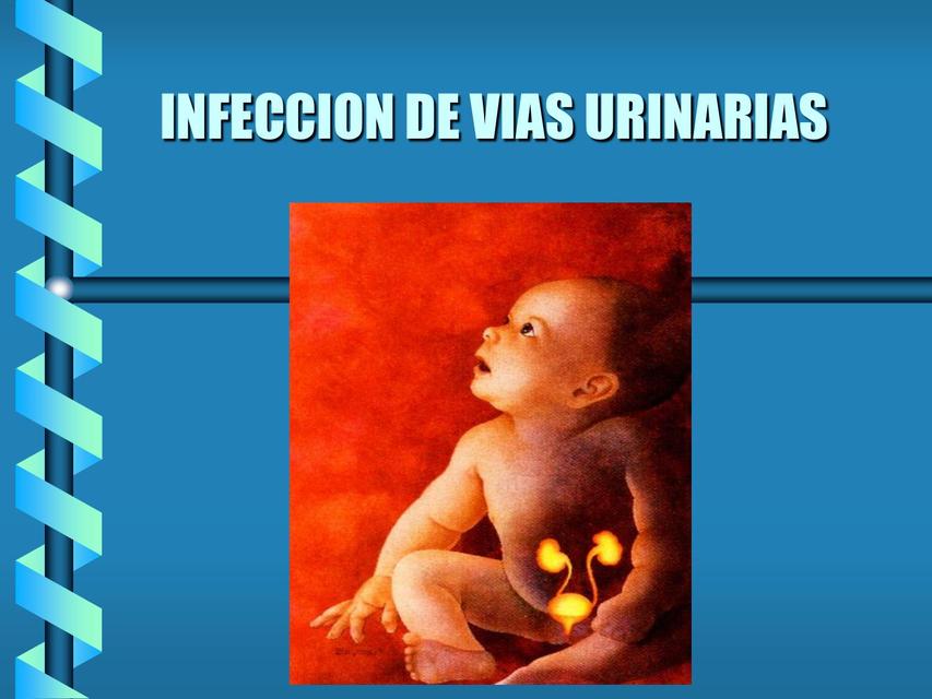 Infeccion de Vías Urinarias | Salud | Pediatría | uDocz Infeccion de Vías Urinarias | Salud | Pediatría | uDocz