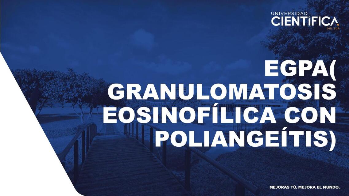 EGPA FISIOPATOLOGÍA | Medical student Kath ESGA🩺☀️ | uDocz
