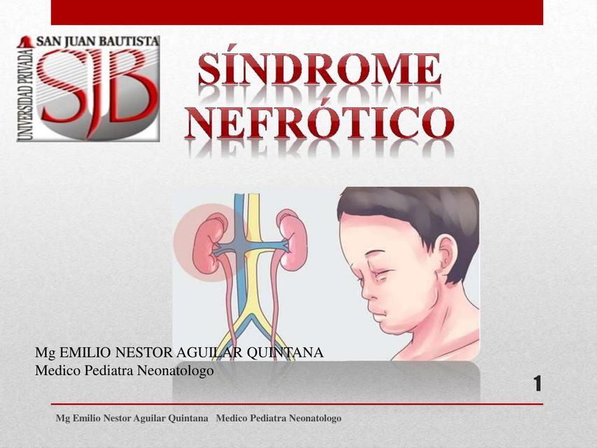 Sindrome Nefritico y Nefrotico
