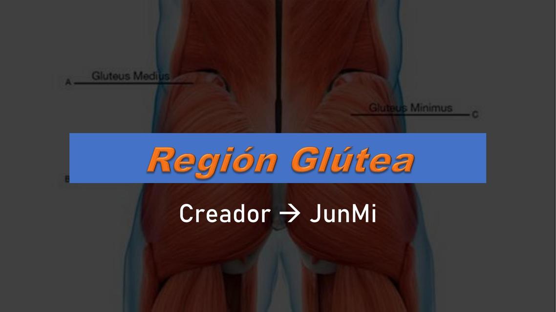 Región Glútea | MEDICAL LEGEND | uDocz