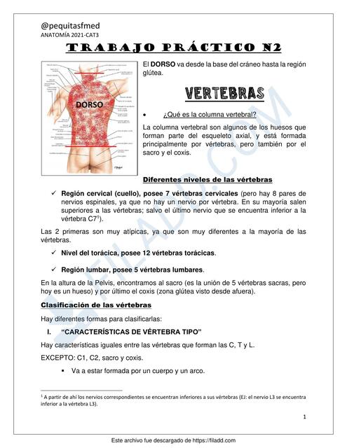 L2 Apunte | Sofia | uDocz