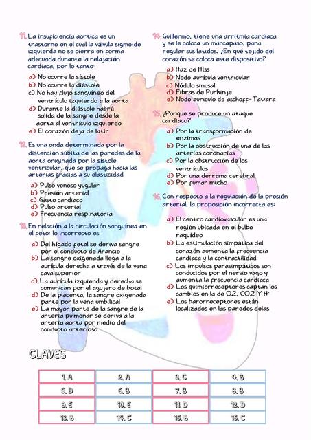 Preguntas del aparato circulatorio 2