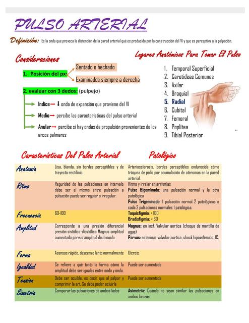 PULSO ARTERIAL | medicina eli | uDocz
