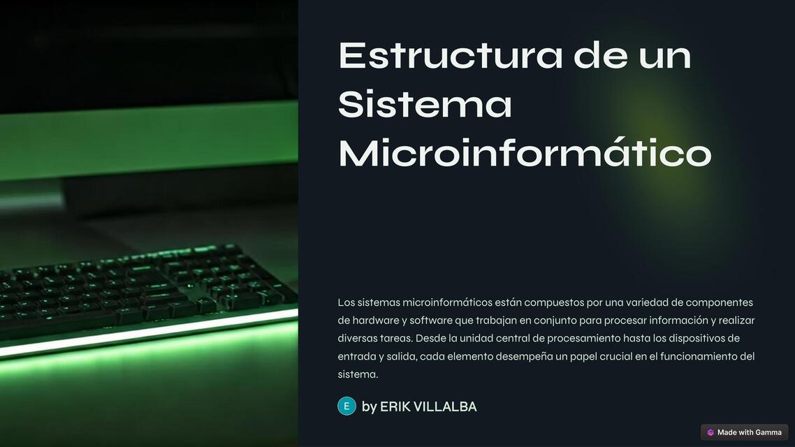 Estructura de un Sistema Microinformatico | Abigail | uDocz
