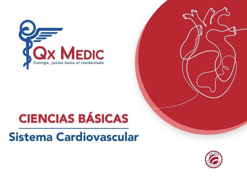 CCBB Sistema Cardiovascular ENAM 1 | Piero | uDocz