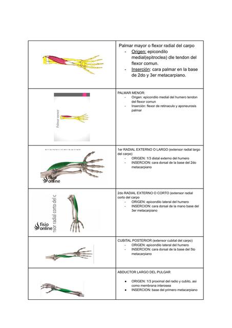 Documento sin título 2 | Tam | uDocz