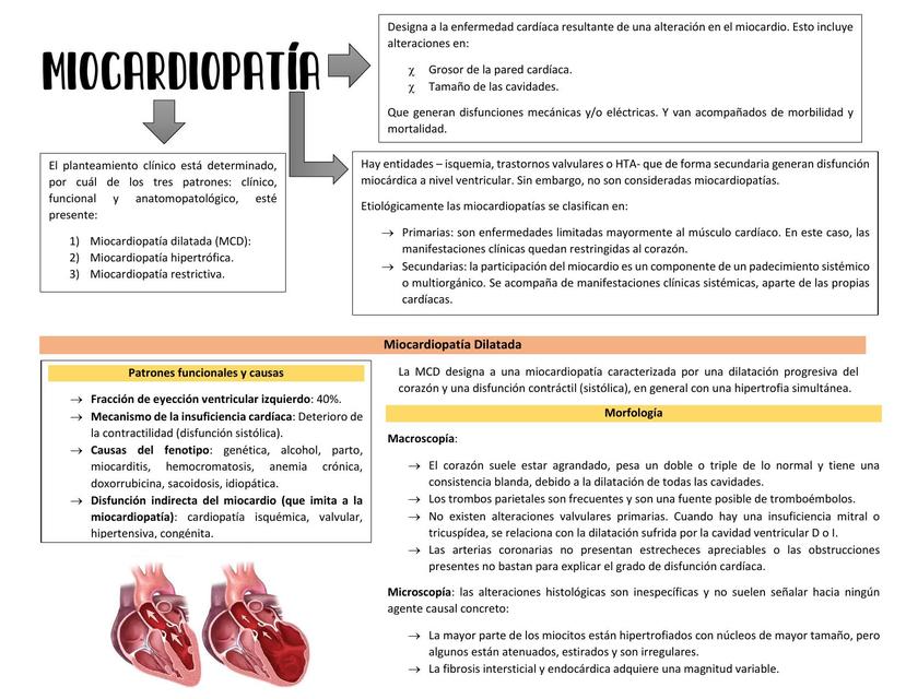 Miocardiopatia y miocarditis | uDocz creators | uDocz