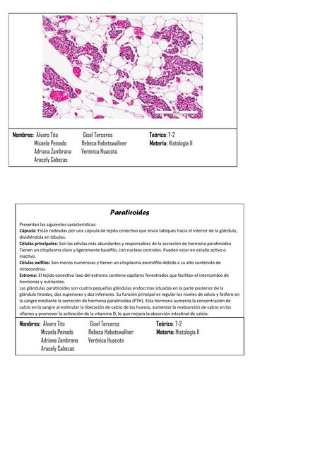 HISTO FLASCARDS 2 | Aracely | uDocz