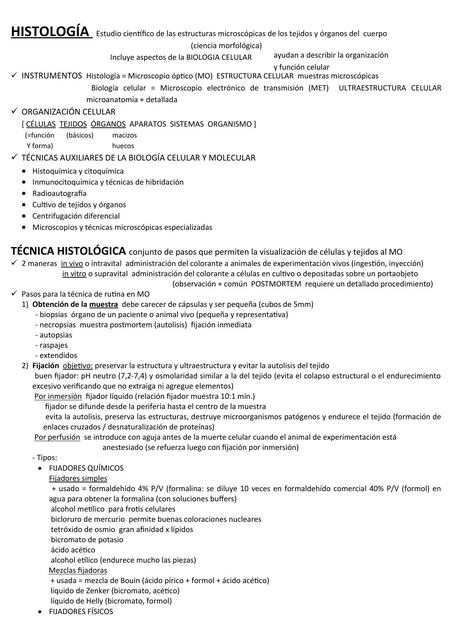 Resumen Histo Cat1 COMPLETO 1 | Flavia | uDocz