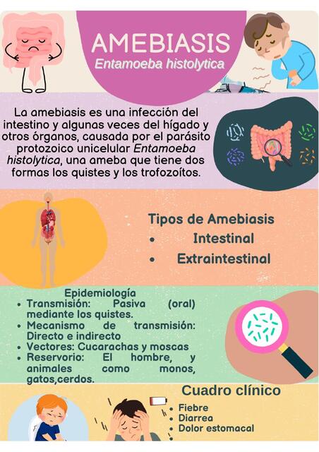 Infografia amebiasis Resumen | kami | uDocz