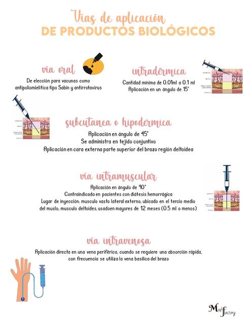 vias de aplicacion de productos biologicos | Medfactory | uDocz
