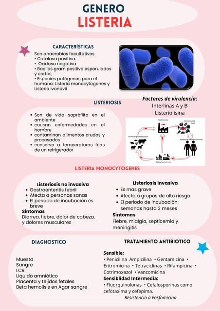 Listeria | Diana | uDocz