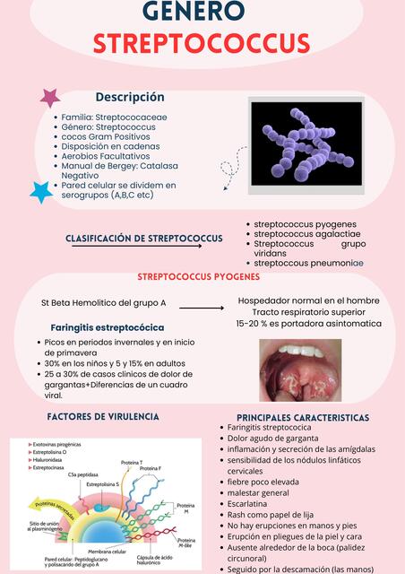 Streptococcus | Diana | uDocz