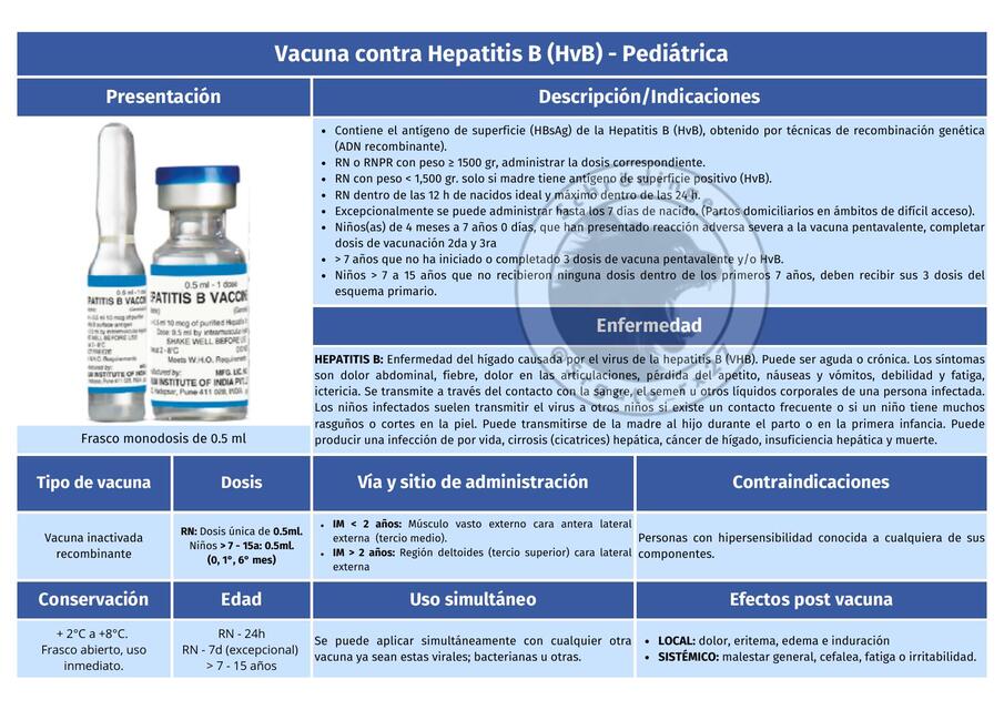Vacuna contra Hepatitis B (HvB) Pediátrica | Piero | uDocz