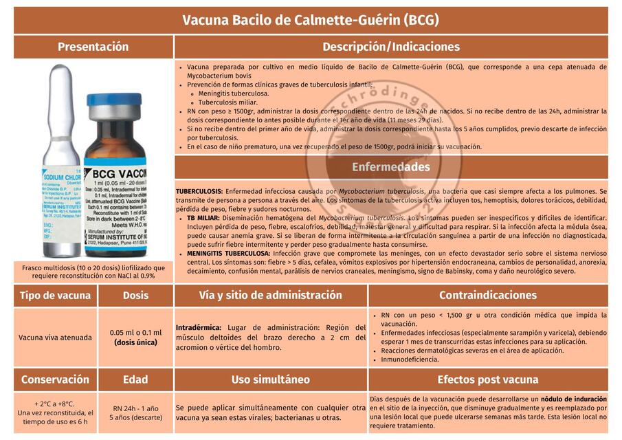 Vacuna Bacilo de Calmette Guérin (BCG) | Piero | uDocz