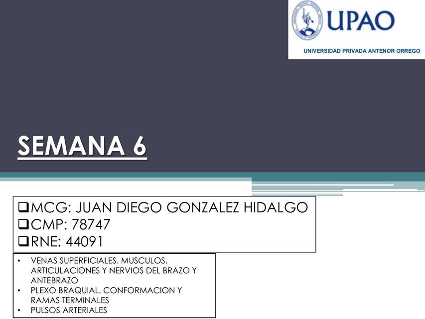 semana 6 | GONZALO HOUDINI | uDocz