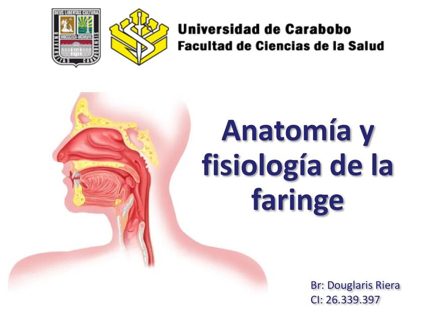 Anatomia y fisiologia de la faringe final | Elias Rodriguez | uDocz