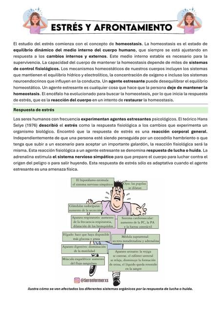 Flashcards de ESTRES Y AFRONTAMIENTO | Por Ser Enfermerxs | uDocz
