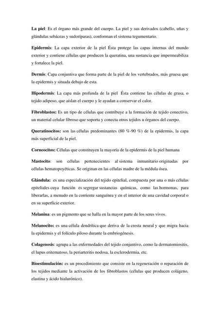 GLOSARIO | Armarlis | uDocz