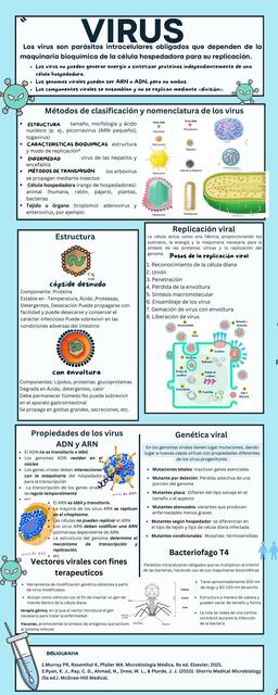 INFOGRAFIA VIRUS | Renata Figueroa | uDocz