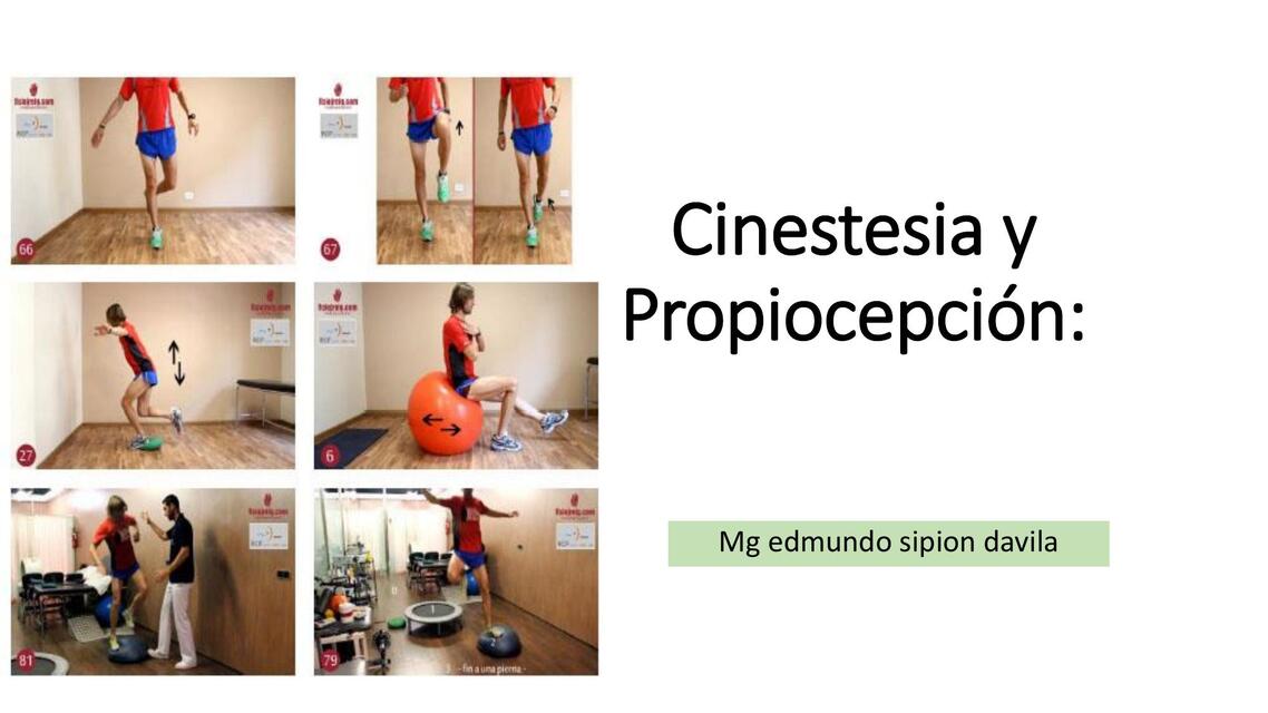 Cinestesia y Propiocepción | Edmundo Sipion | uDocz