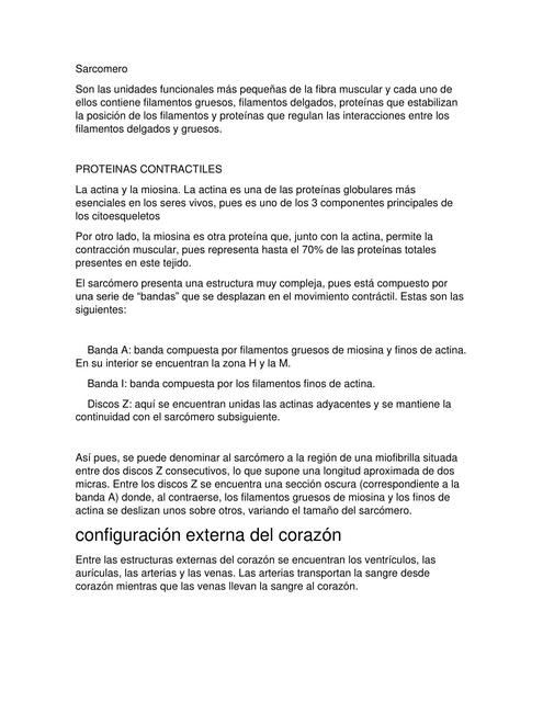 MORFO CORAZON | mirna rios | uDocz