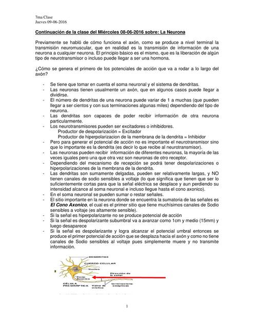 7ma clase de Fisiologia | Diego Vilches | uDocz