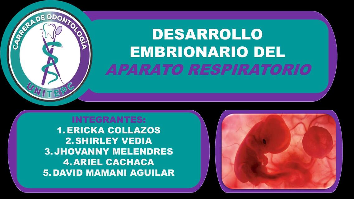 EMBRIO APARATO RESPIRATORIO | luuu | uDocz