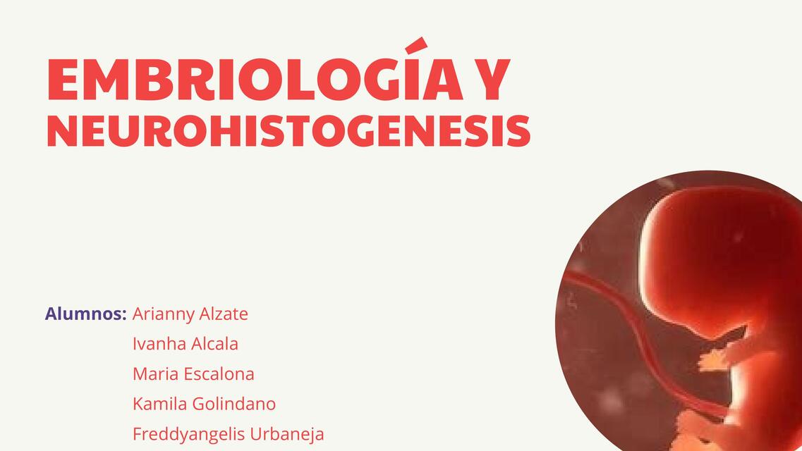 Presentación Medicina Embriología Fotográfico Beig | Maria | uDocz