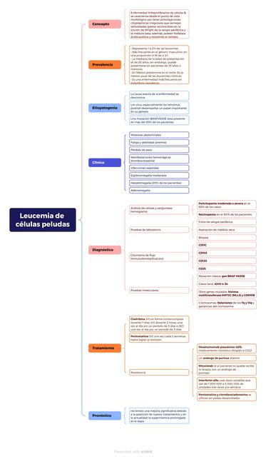 Flashcards de Leucemia de células peludas/pilosas | Por Mauricio Laguna ...