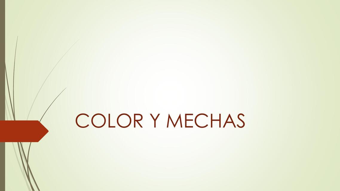Color y Mechas | Quiana sofia | uDocz