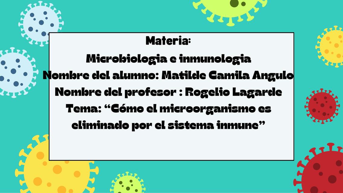 Cómo funciona el sistema inmune en microorganismo | Matilde Camila ...