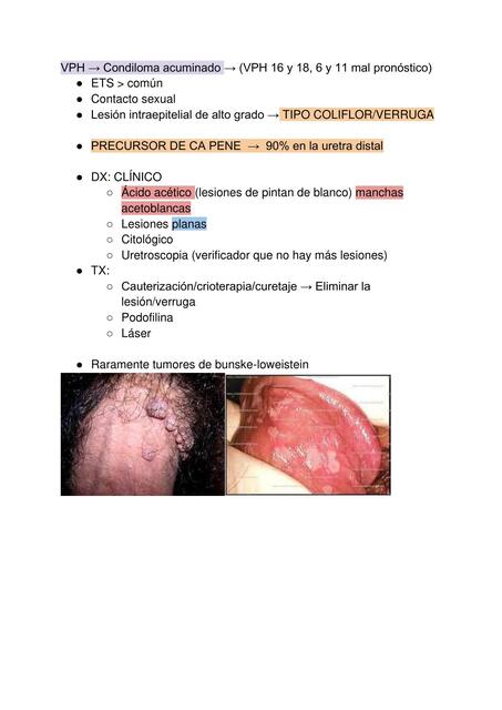 VPH | Jose Antonio Solis Martinez | uDocz